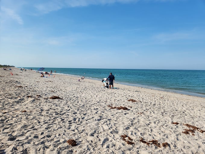 manasota key beach 1