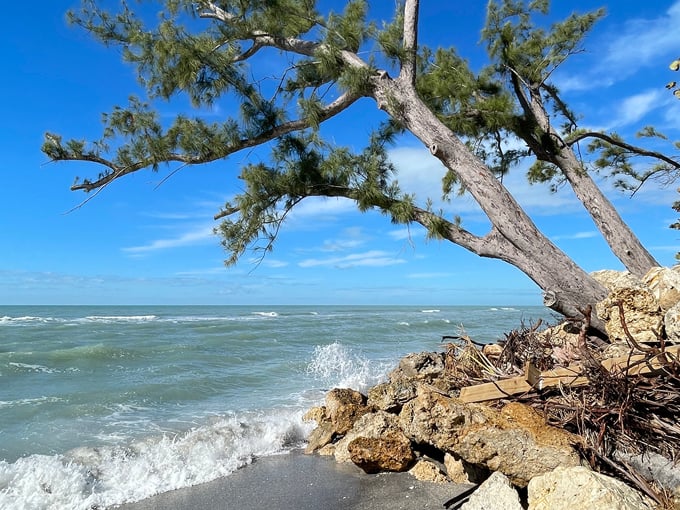 manasota key beach 2