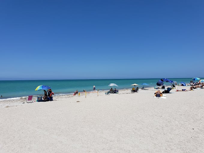 manasota key beach 4