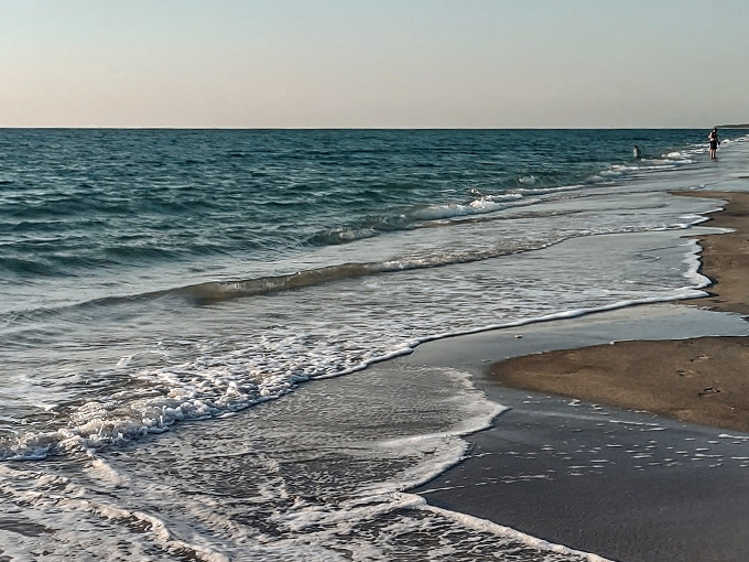 manasota key beach 5