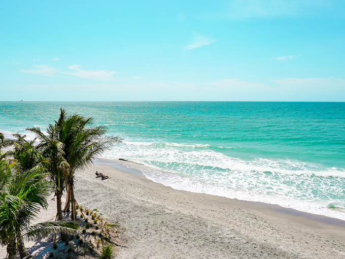 manasota key resort 6