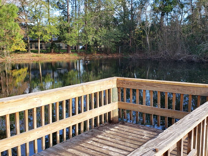 mcclenny memorial park 7