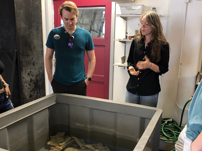 mel fisher maritime heritage society and museum 9