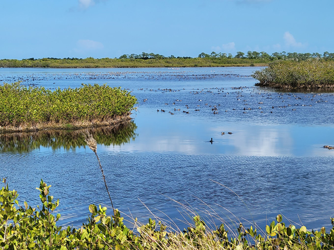 merritt island national wildlife refuge 1