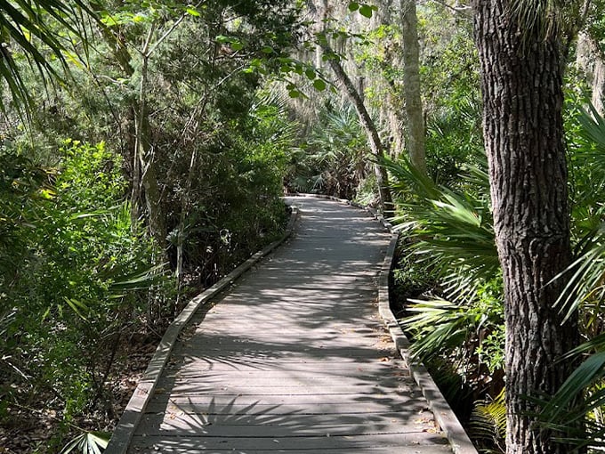 merritt island national wildlife refuge 2