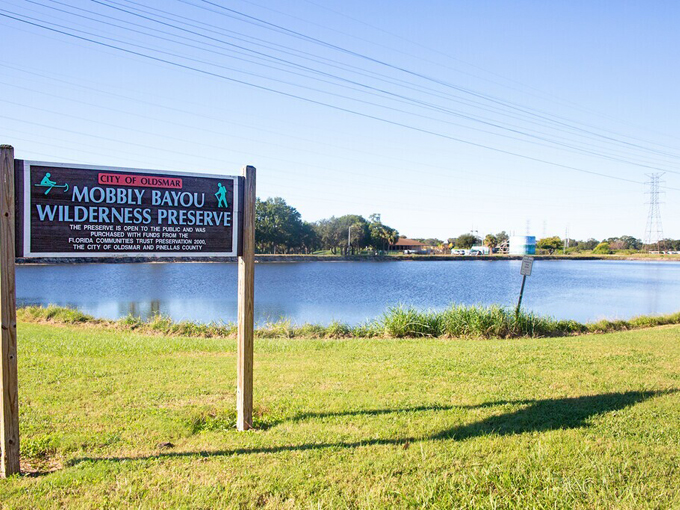 mobbly bayou wilderness preserve 1