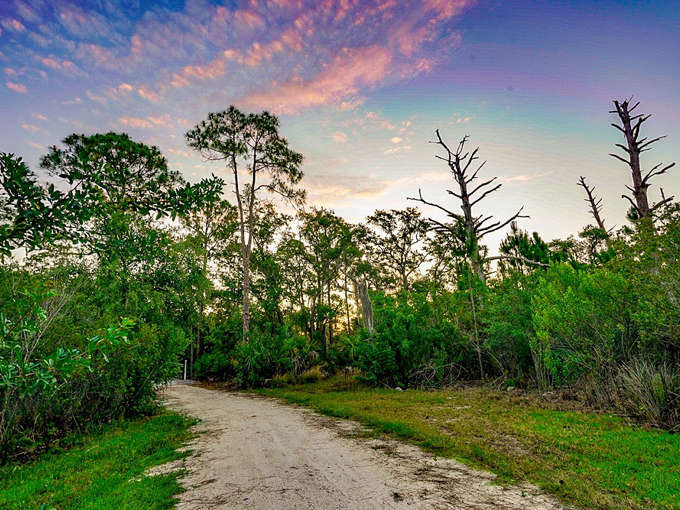 mobbly bayou wilderness preserve 5