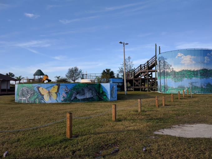 mobbly bayou wilderness preserve 8