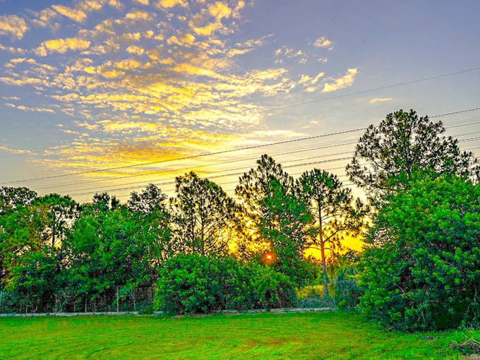 mobbly bayou wilderness preserve 9