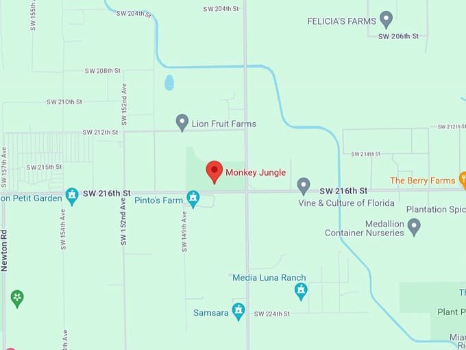 monkey jungle 10 map