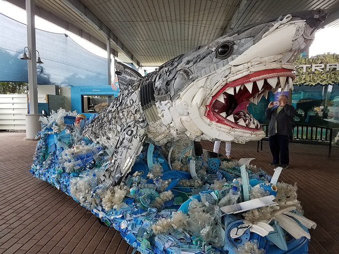 mote marine laboratory aquarium 2