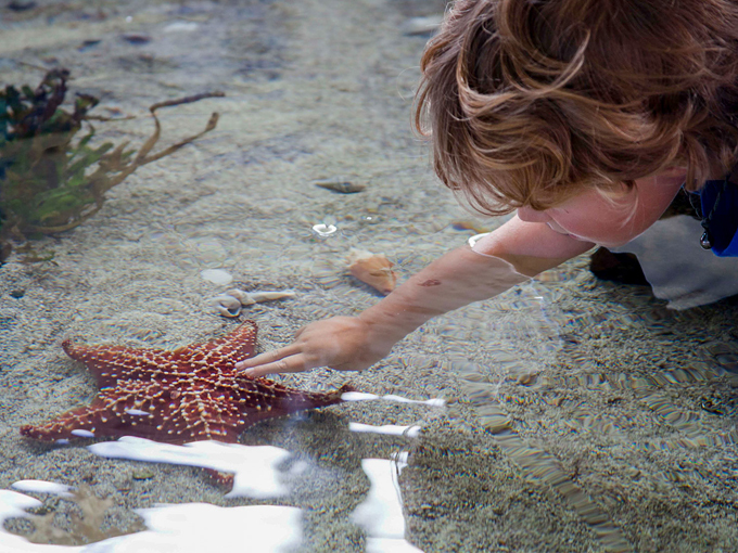 mote marine laboratory aquarium 3