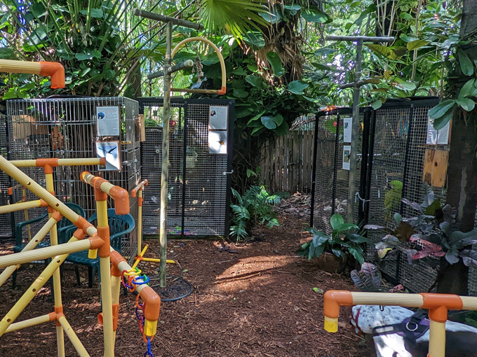 nancy forresters secret garden 2