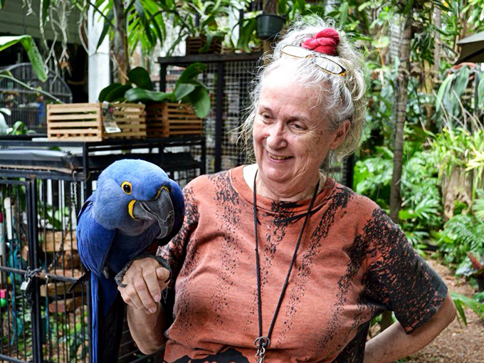 nancy forresters secret garden 3