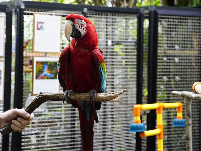 nancy forresters secret garden 4