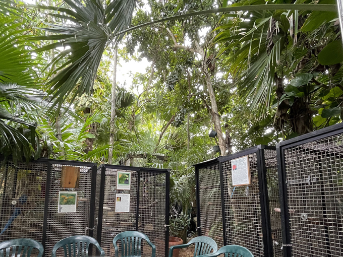 nancy forresters secret garden 6