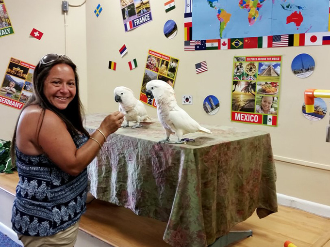 nancy forresters secret garden 9