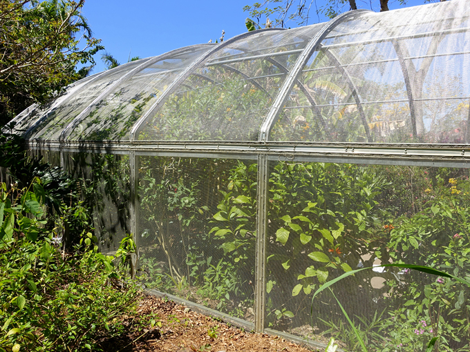 naples botanical garden 1