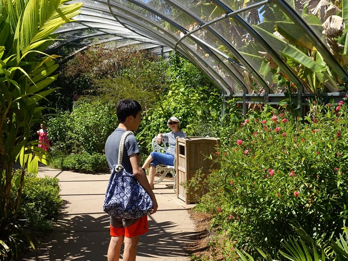 naples botanical garden 4