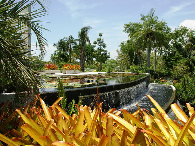 naples botanical garden 5