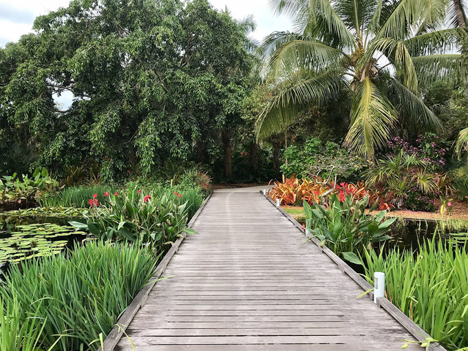 naples botanical garden 9