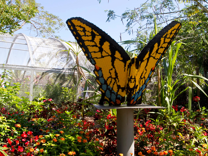 naples botanical garden 9