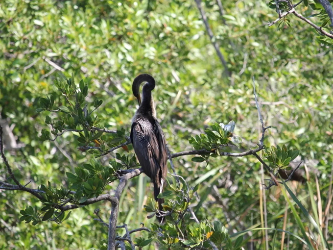national key deer refuge 3