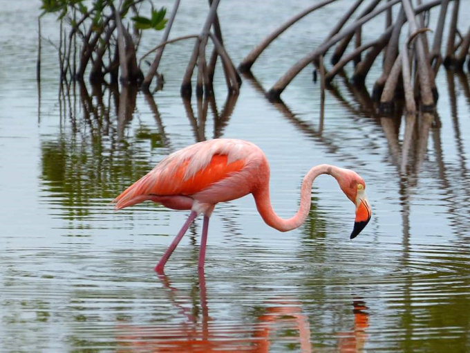 national key deer refuge 6