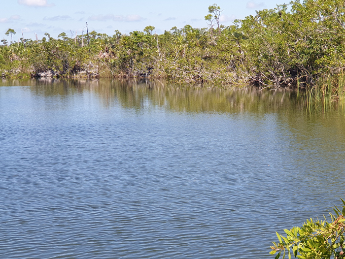 national key deer refuge 7