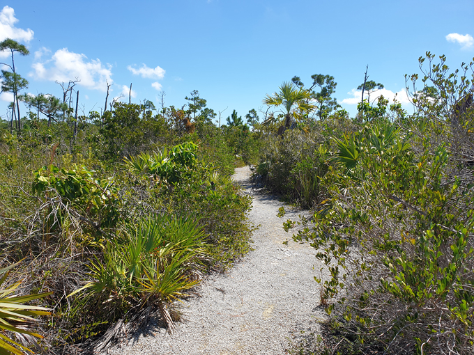 national key deer refuge 8