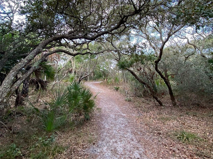 north peninsula state park 2