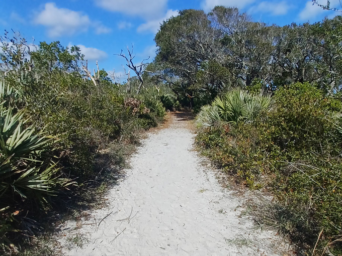 north peninsula state park 3