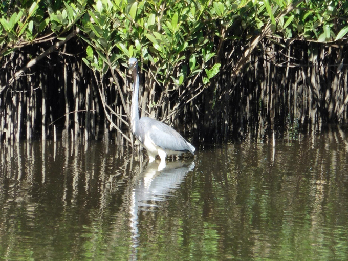 north peninsula state park 4
