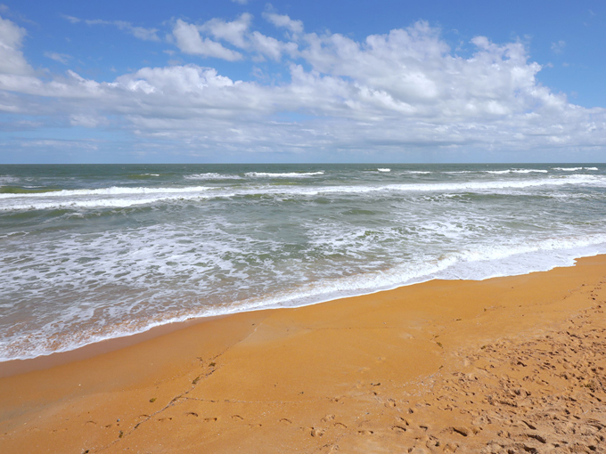 north peninsula state park 5