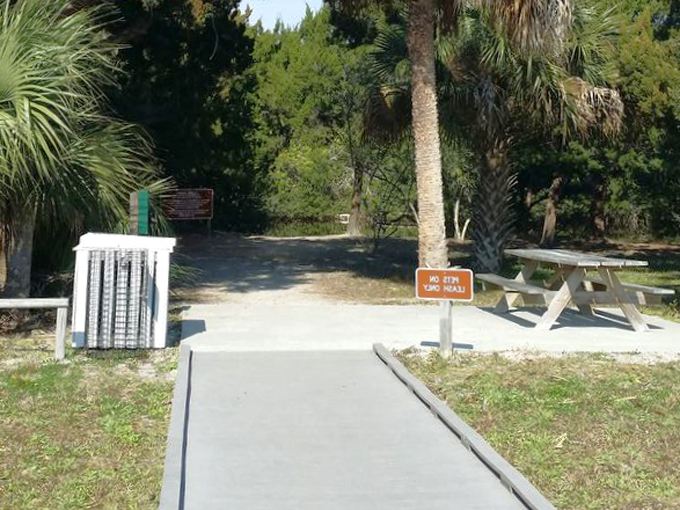 north peninsula state park 6