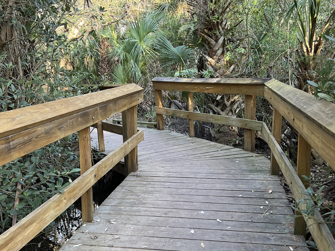 north peninsula state park 7