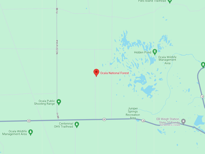 ocala national forest 10 map