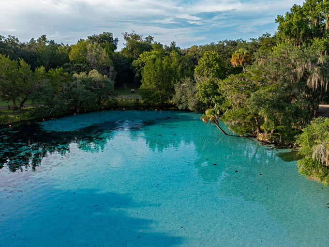 ocala national forest 3