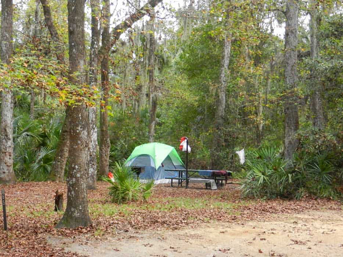 ocala national forest 7