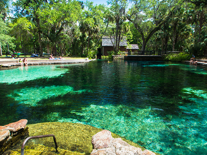 ocala national forest 8