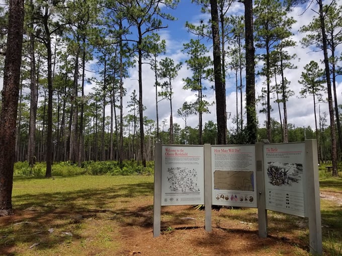 olustee battlefield historic state park 3