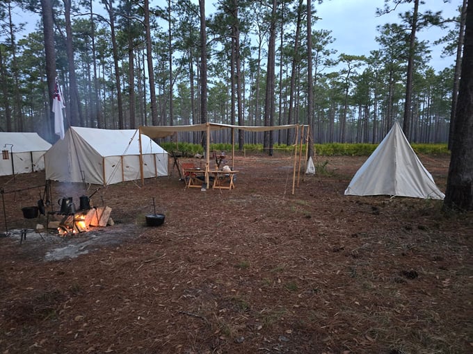 olustee battlefield historic state park 6