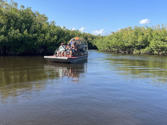 original everglades city airboat tours 1