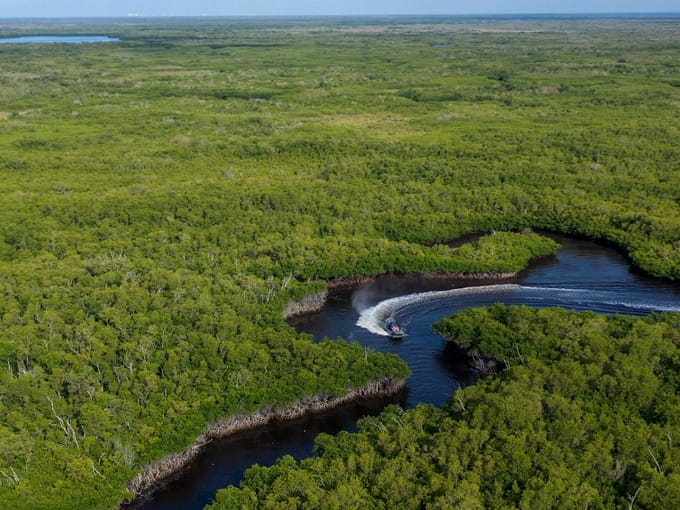 original everglades city airboat tours 2