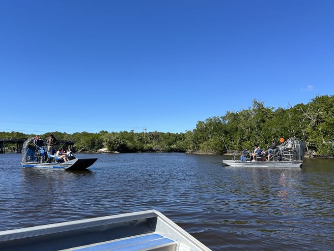 original everglades city airboat tours 7