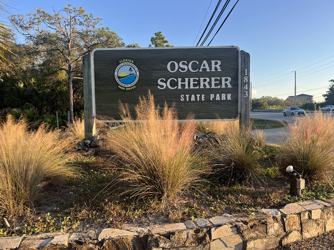 oscar scherer state park 2 1