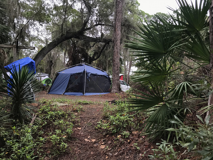 oscar scherer state park 4 1