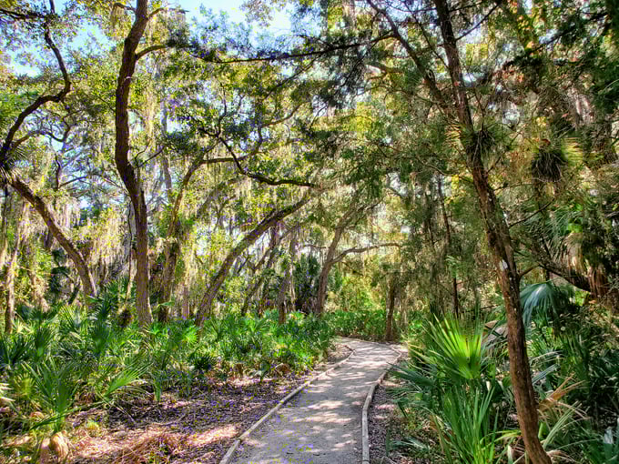 oscar scherer state park 5 1