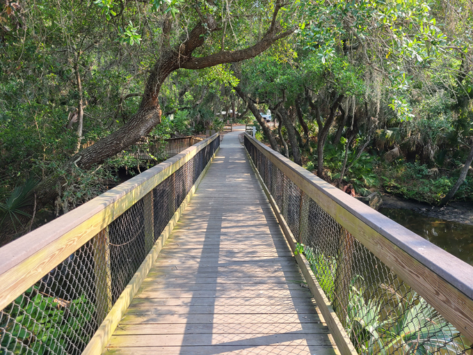 oscar scherer state park 6 1