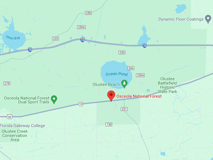 osceola national forest 10 map